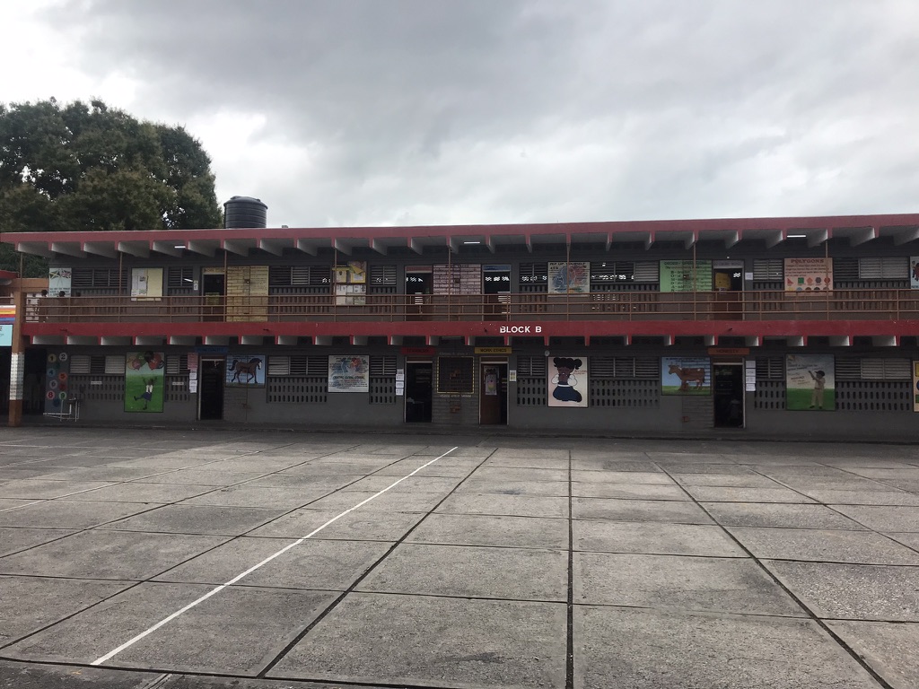 Half Way Tree Primary